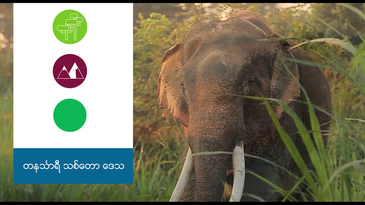 Seven Natural Wonders of Myanmar - YouTube