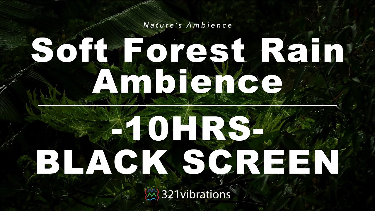 Soft Forest Rain Ambience - Black Screen - 10Hrs - Fall Asleep Fast ...