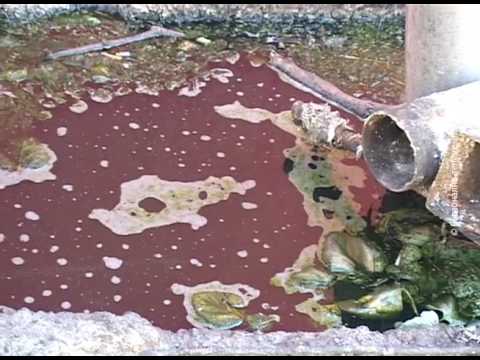 Umesto čiste iz oluka ističe prljava voda, 08. jul 2016. (RTV Bor ...