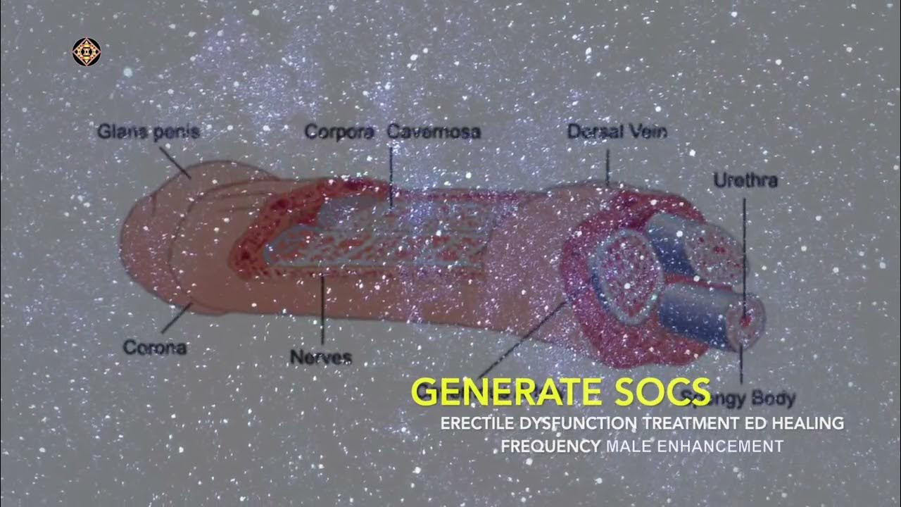 Unbelievable Healing Frequency for Men - Erectile Dysfunction Treatment - YouTube