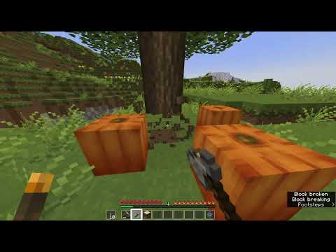 Relaxing Minecraft 1.18 ASMR