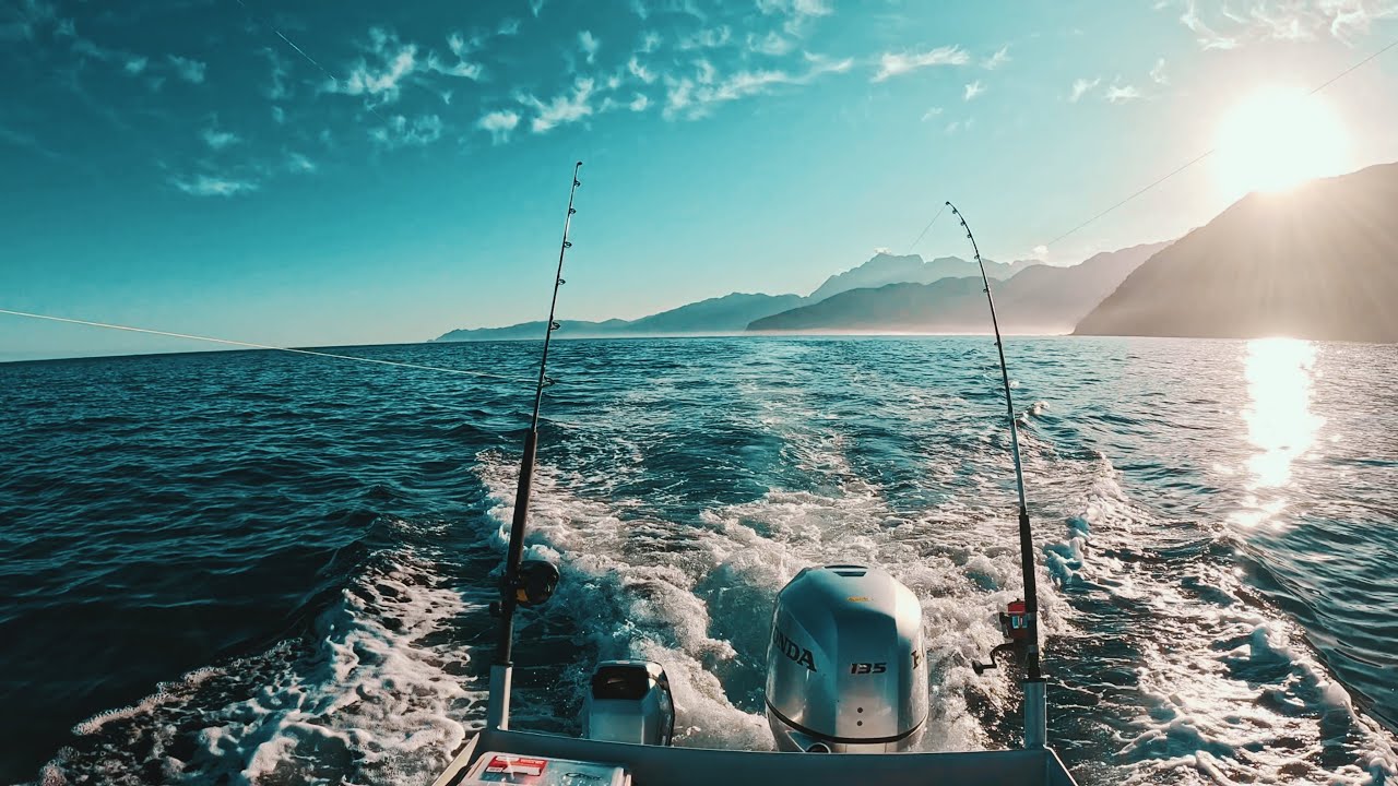 Diving for Crayfish in Milford Sound New Zealand - YouTube