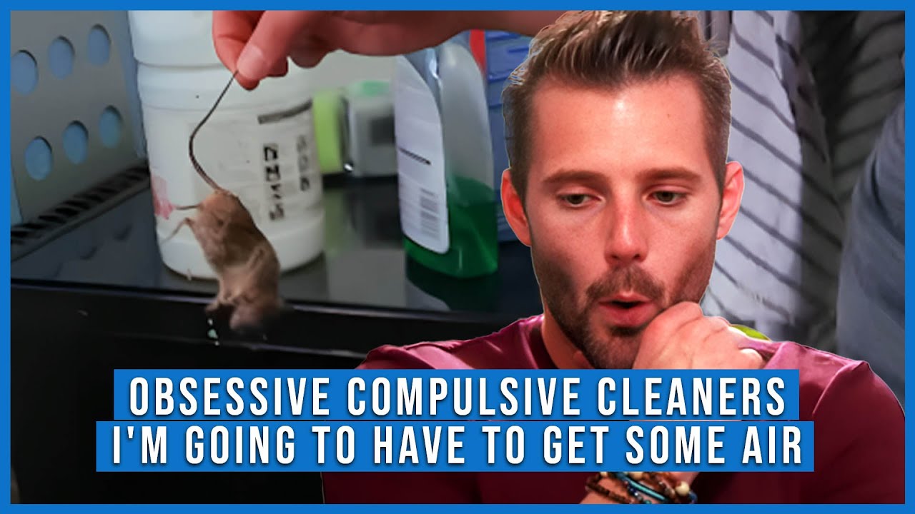 The Dirtiest House EVER Cleaned On TV?! (Dead Mice Found) - YouTube