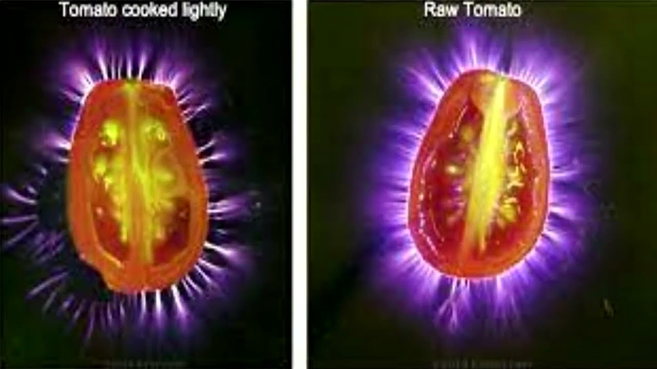 The Mystery of Aura / Biofield Electrography and Kirlian Photography ...
