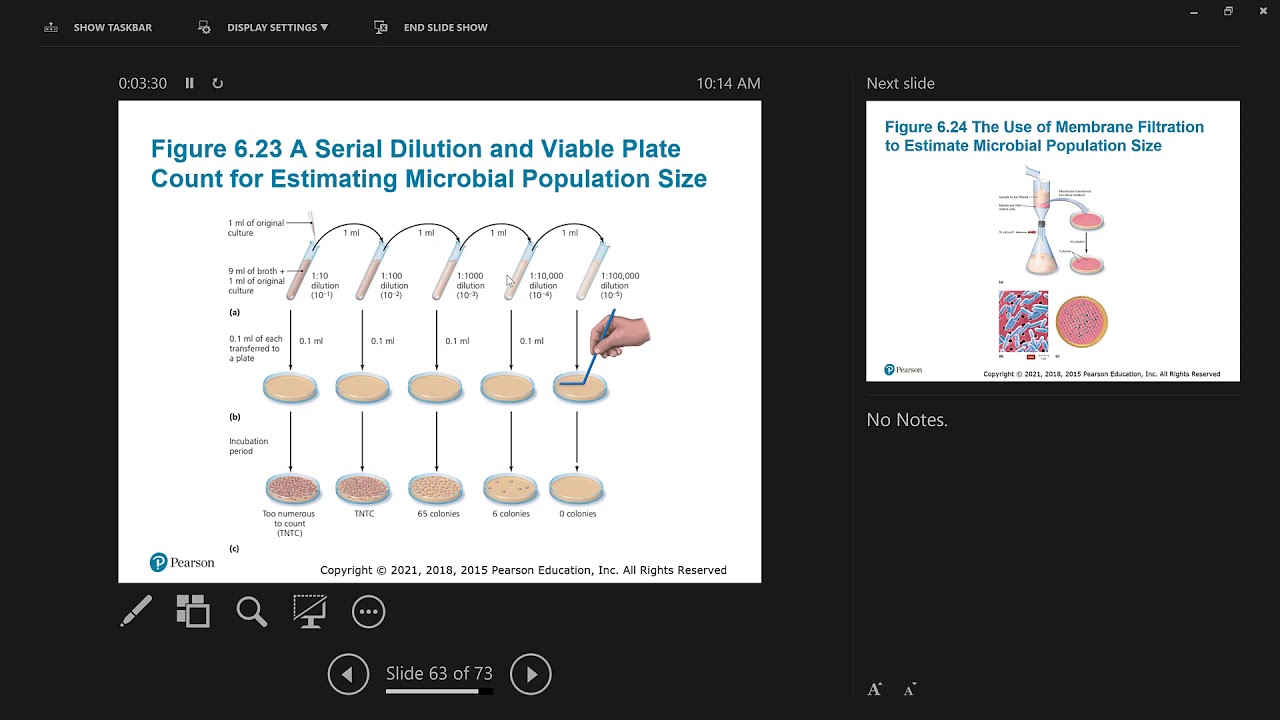 Serial Dilution and Viable Plate Count - Eastfield - YouTube