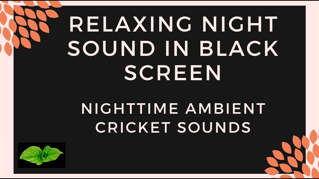 Night Time Ambient Sounds, Cricket Sounds, Relaxing sounds 8 Hours ...