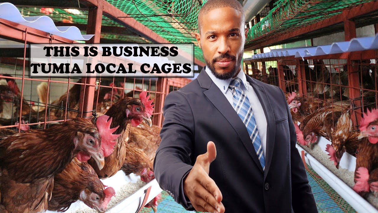 MFUGAJI WA KUKU |TUMIA LOCAL CAGES UPATE FAIDA| - YouTube