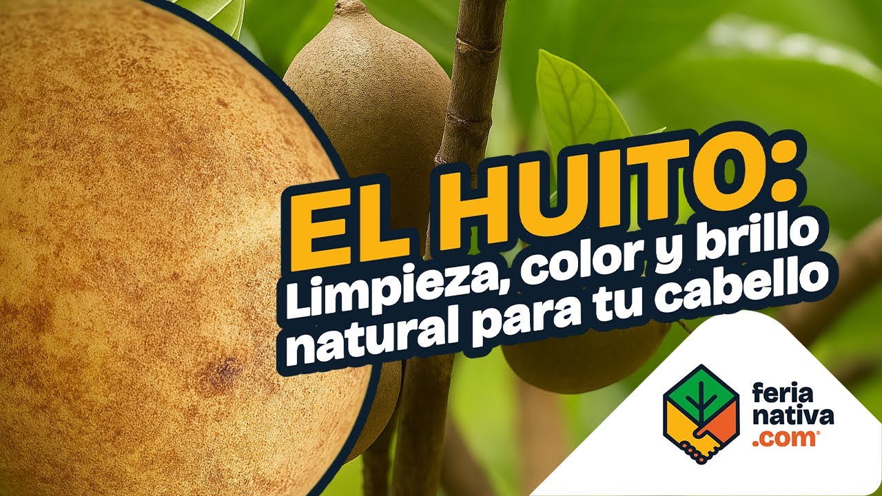 HUITO: Color y cuidado NATURAL para tu CABELLO 🌿 - YouTube