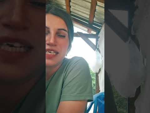 Gülxanım: Bezmişəm Rəşadın nəslinin kökünün söyüşlərinnən bəsdirin mən Rəşadı saymıram😵