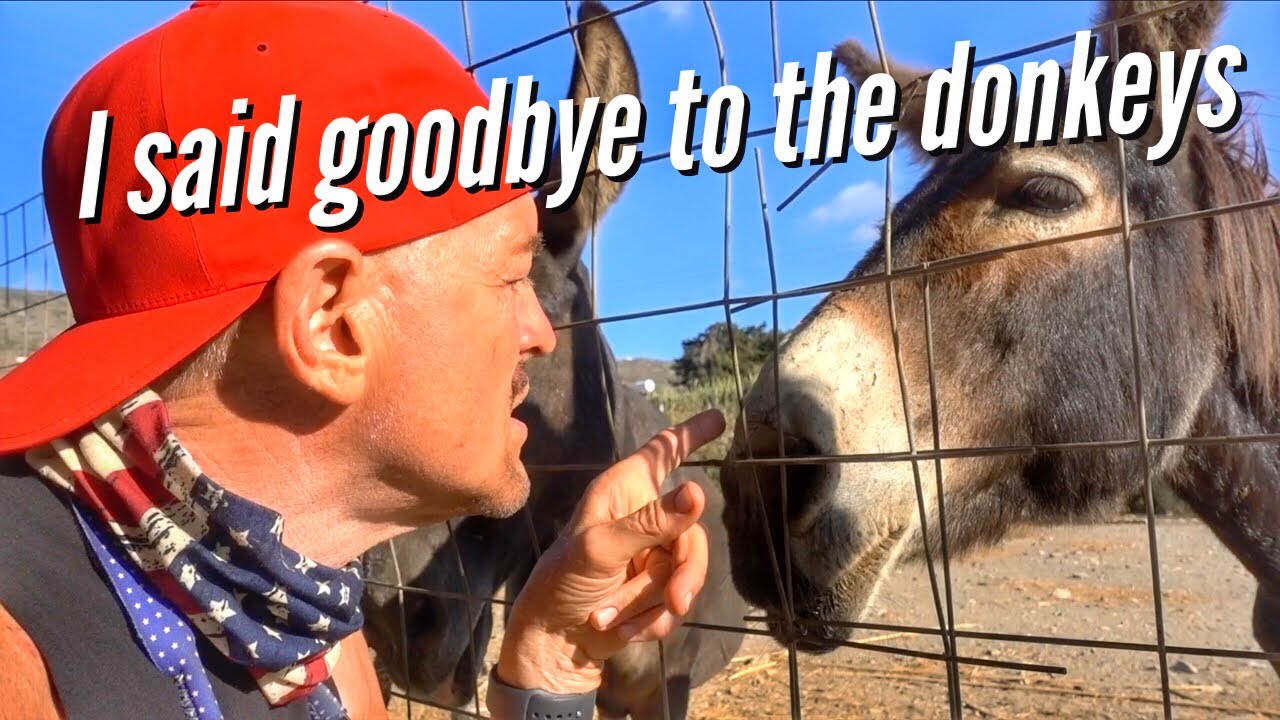 I SAID GOODBYE TO THE DONKEYS - The Amorgos Winery-Distillery - YouTube