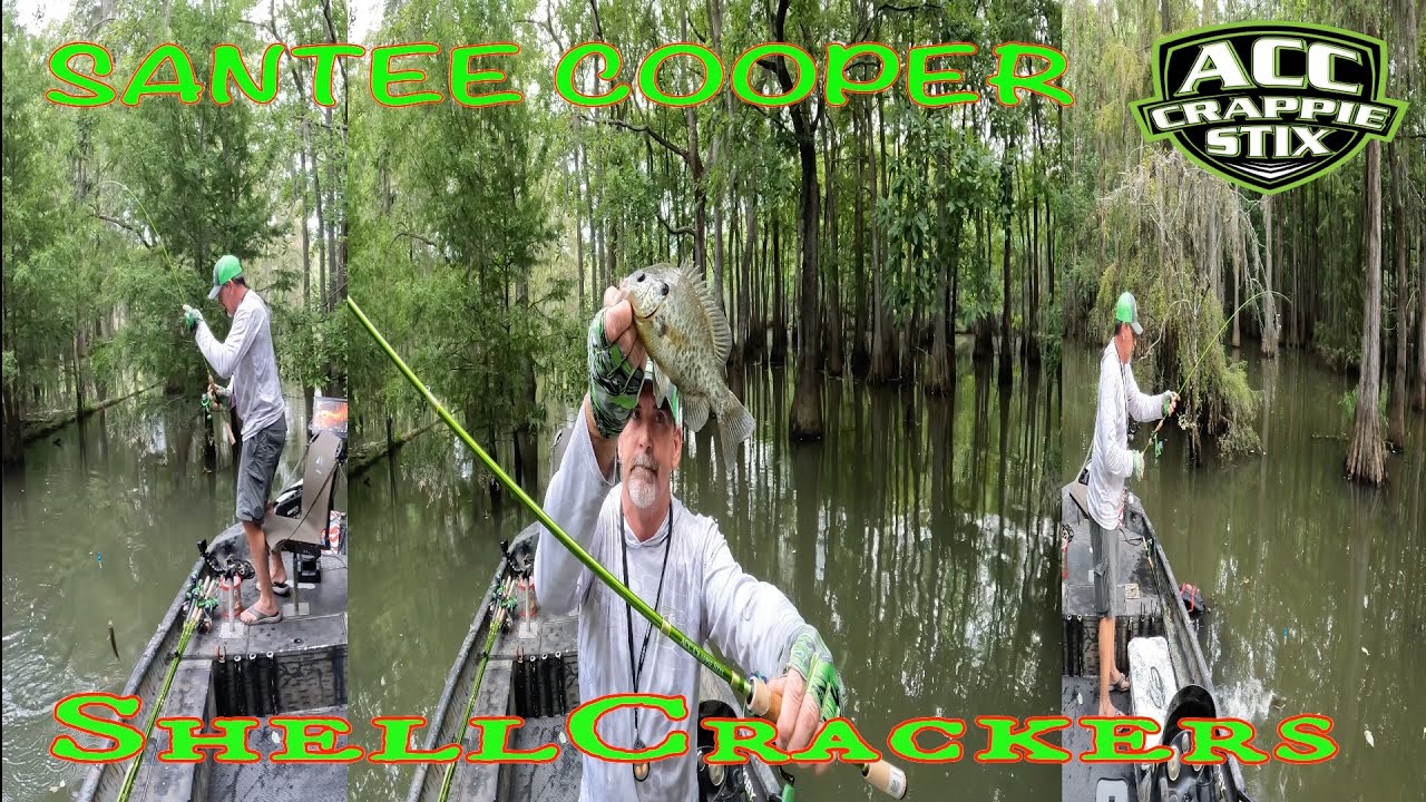 ShellCracker RedEar Fishing In The Summer Months - YouTube