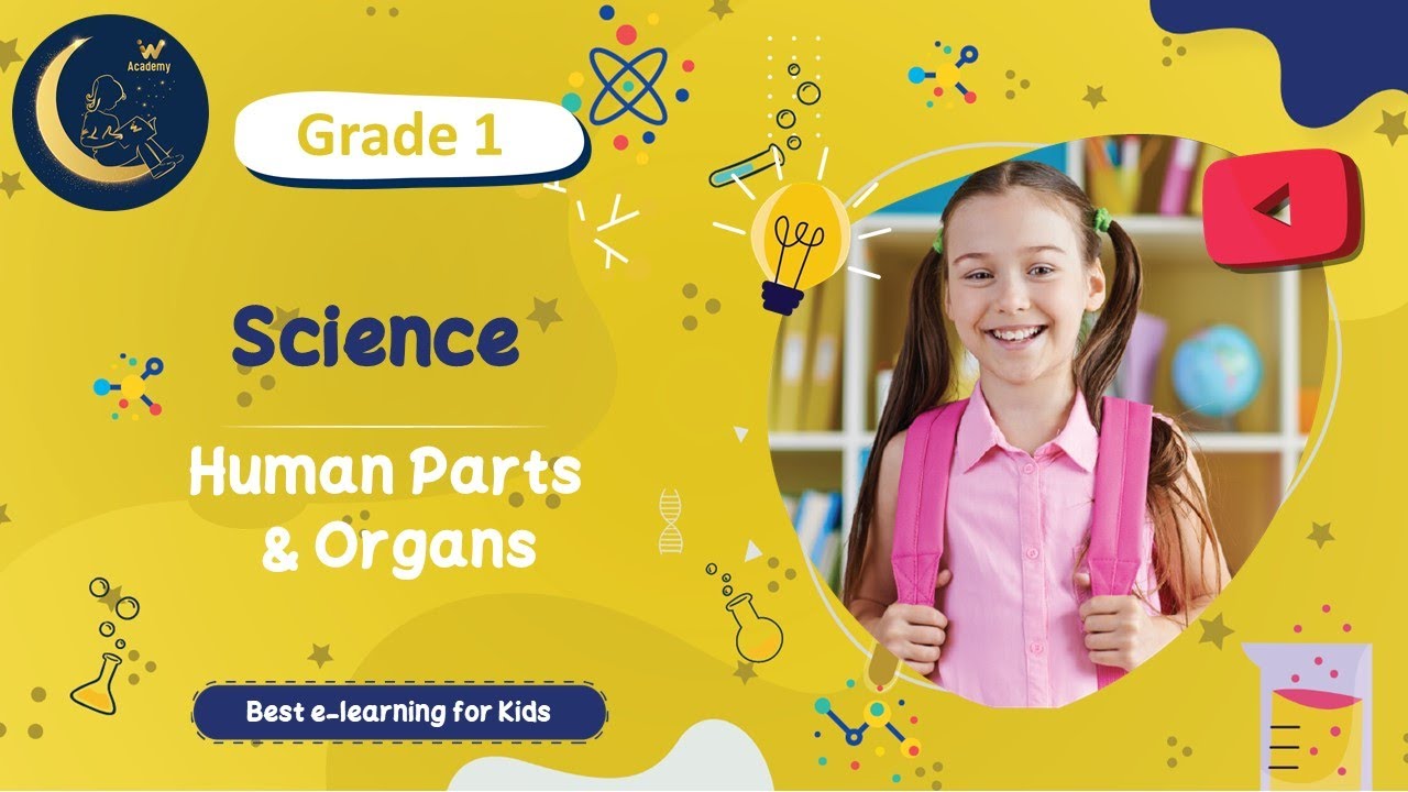 Human Parts & Organs - Body Parts - Human Body Systems for Kids - Learn ...