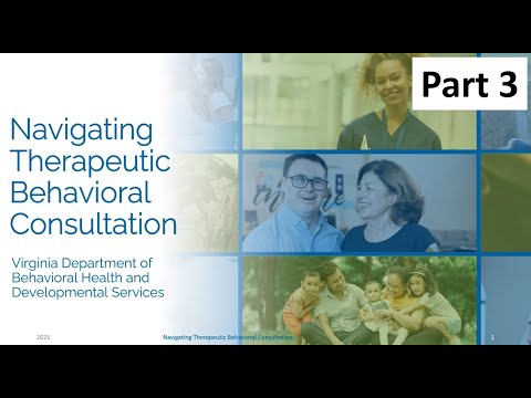 Navigating Therapeutic Behavioral Consultation Part 3 - YouTube