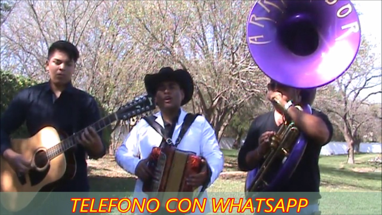 Fara Fara con Tuba en Monterrey 8121500949 - YouTube