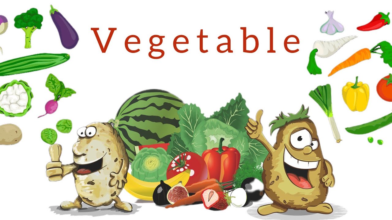 vegetables name with picture|different type of vegetables|Healthy ...