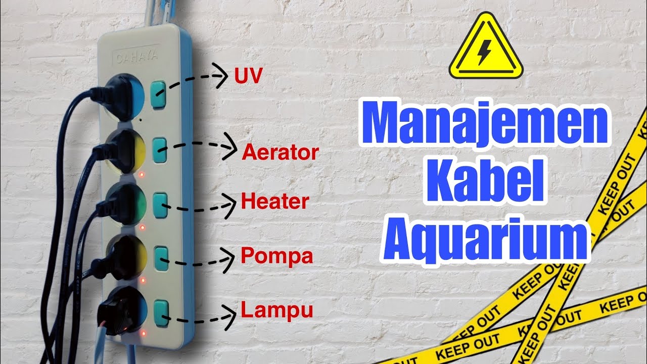 CARA MERAPIKAN KABEL AQUARIUM - YouTube