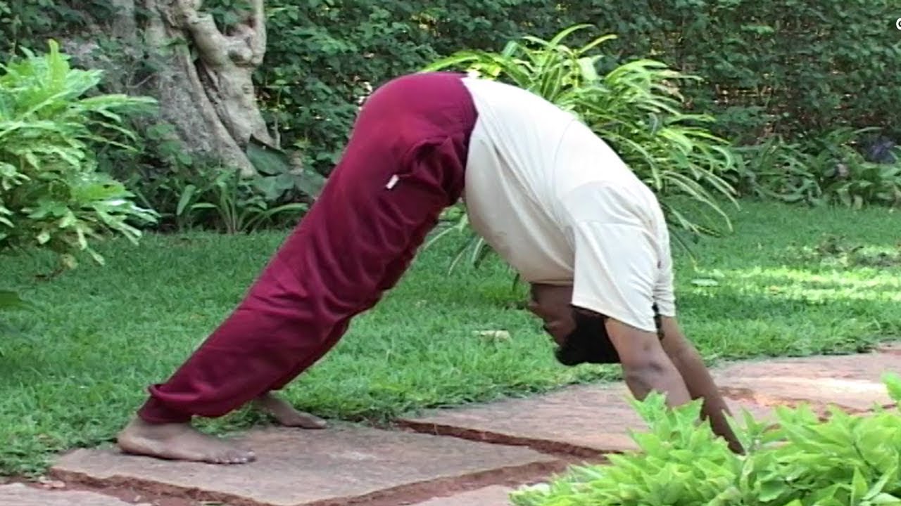 Meru Akaranasana - Mountain Pose - Yoga Asana To Strengthen your ...