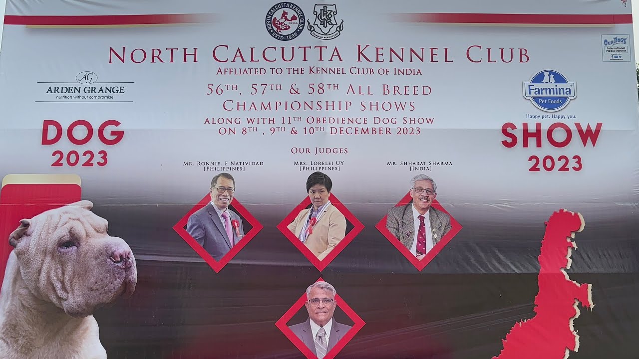 Nckc dog show - YouTube