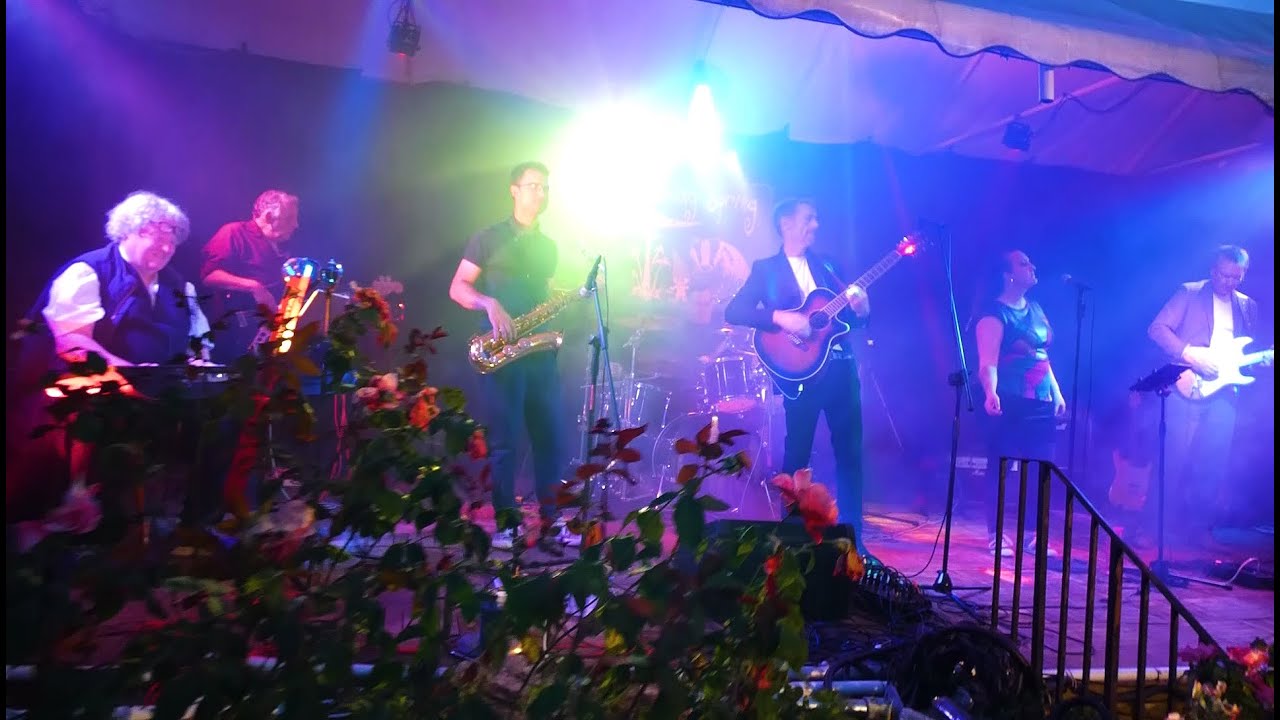 Moonage, The Best Of Bowie Tribute Band, performing Moonage Daydream ...