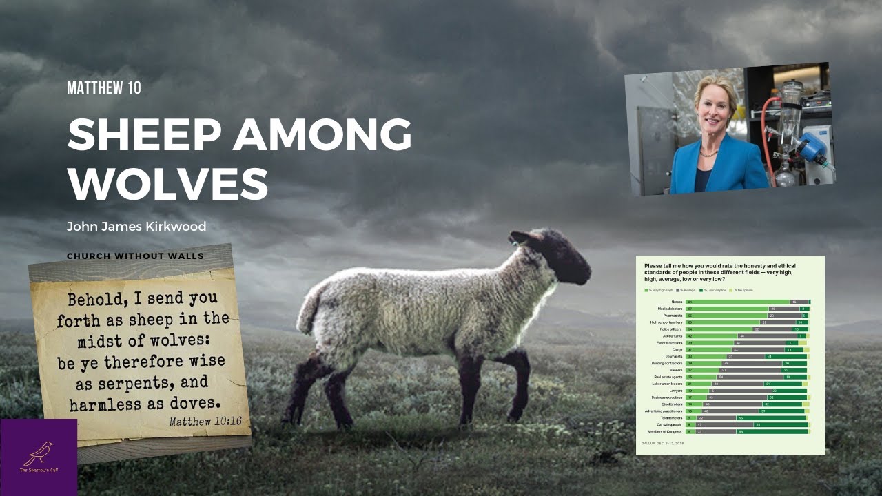 Sheep Among Wolves - YouTube