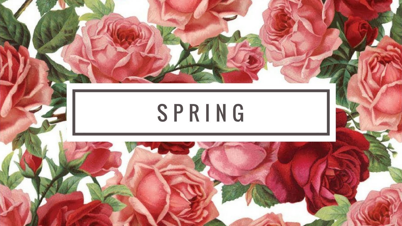 Spring Classical Music - YouTube