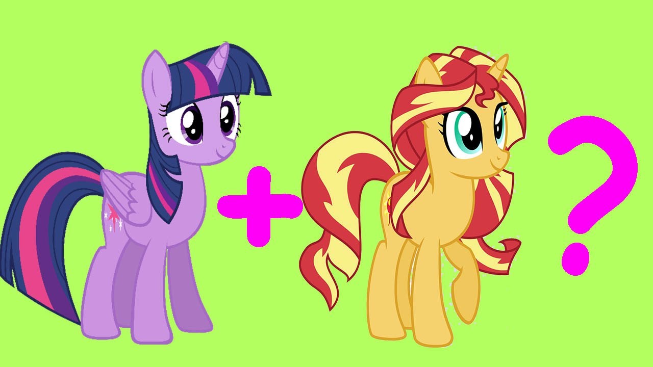 My Little Pony Sunset Shimmer And Twilight