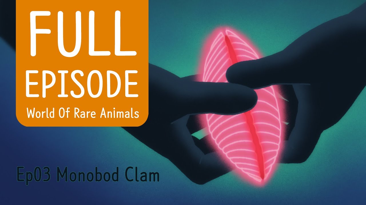 “Monopod Clam” - World of rare animals - Ep.3 / Full Episode - Cat Claw ...