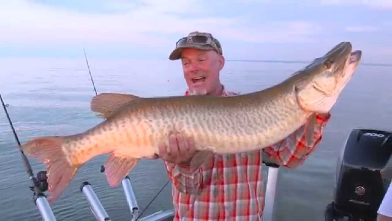 Trolling Tips for Muskie - YouTube
