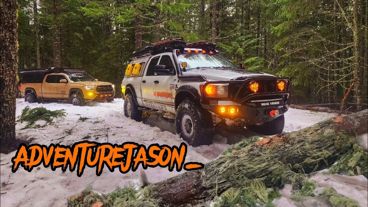 So many Trees Down! - YouTube