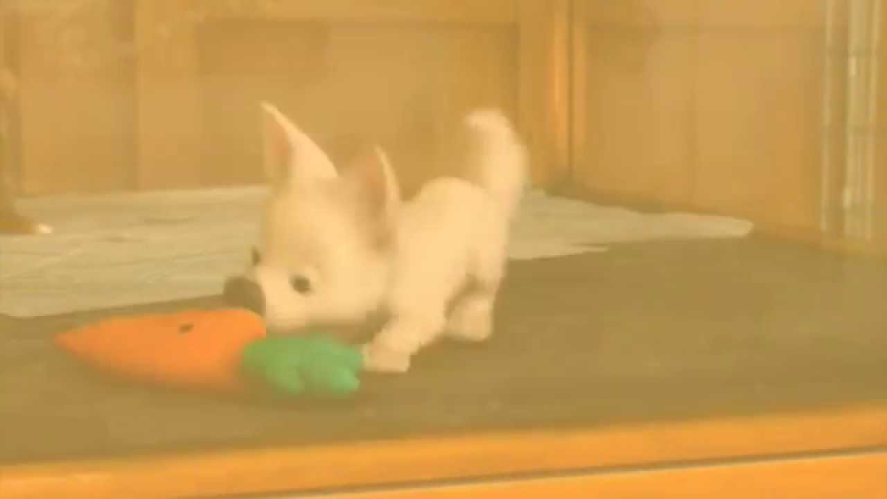 *~New Intro~* - YouTube