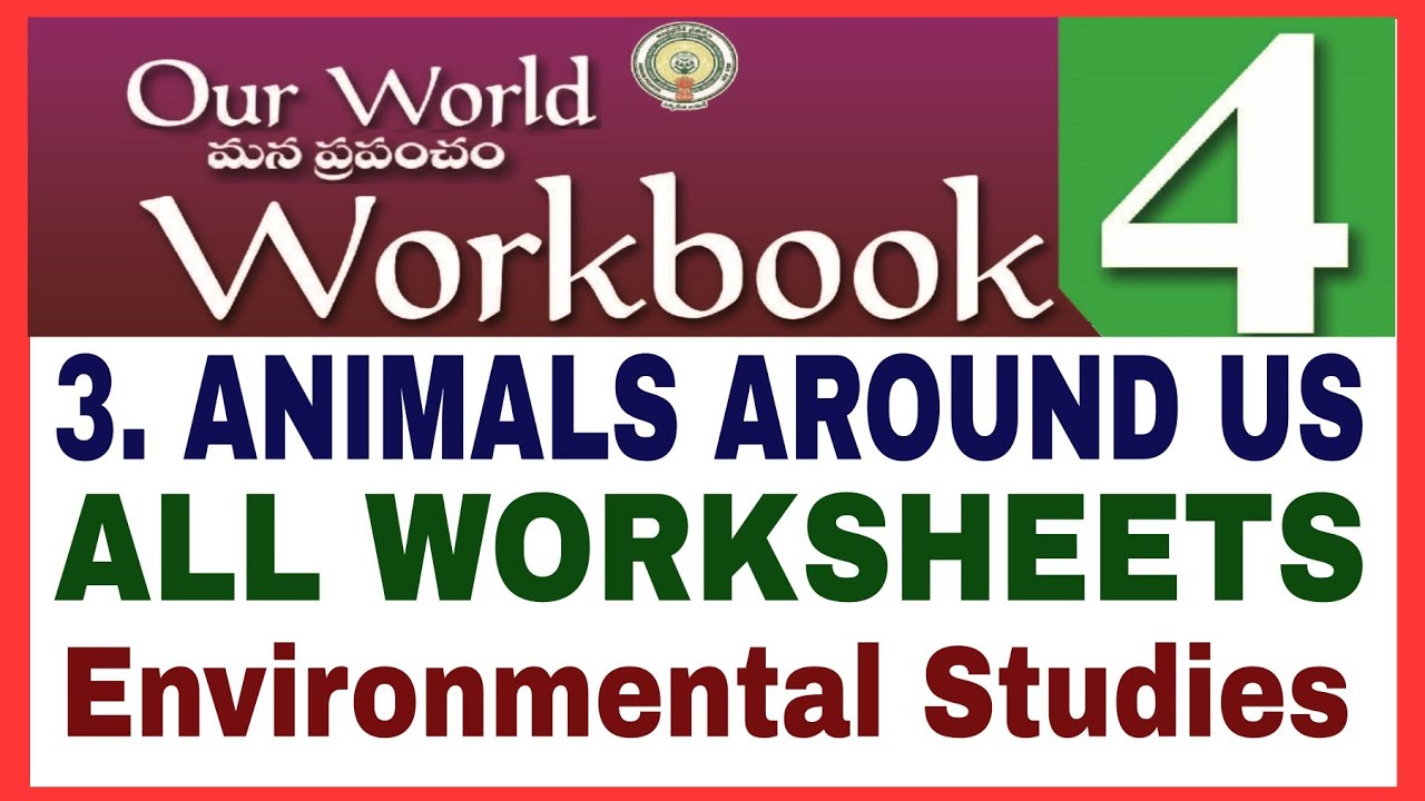 4th Class EVS Animals Around us Worksheets with Answers Workbook - YouTube