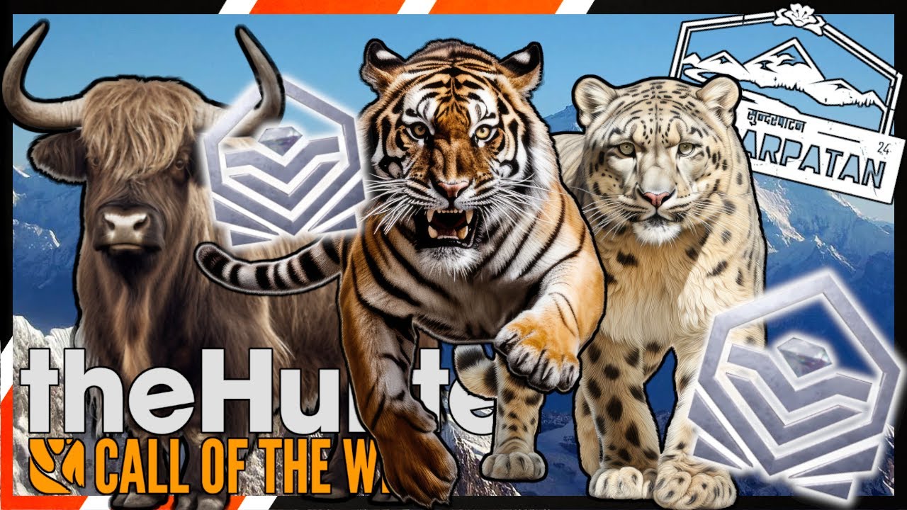 FIRST LOOK at Sundarpatan + Diamond Yak & 1st Snow Leopard With AIR ...