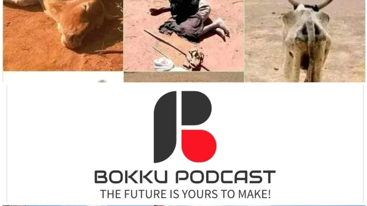 Boorana - Booranni eessa jira? oromo poem - YouTube