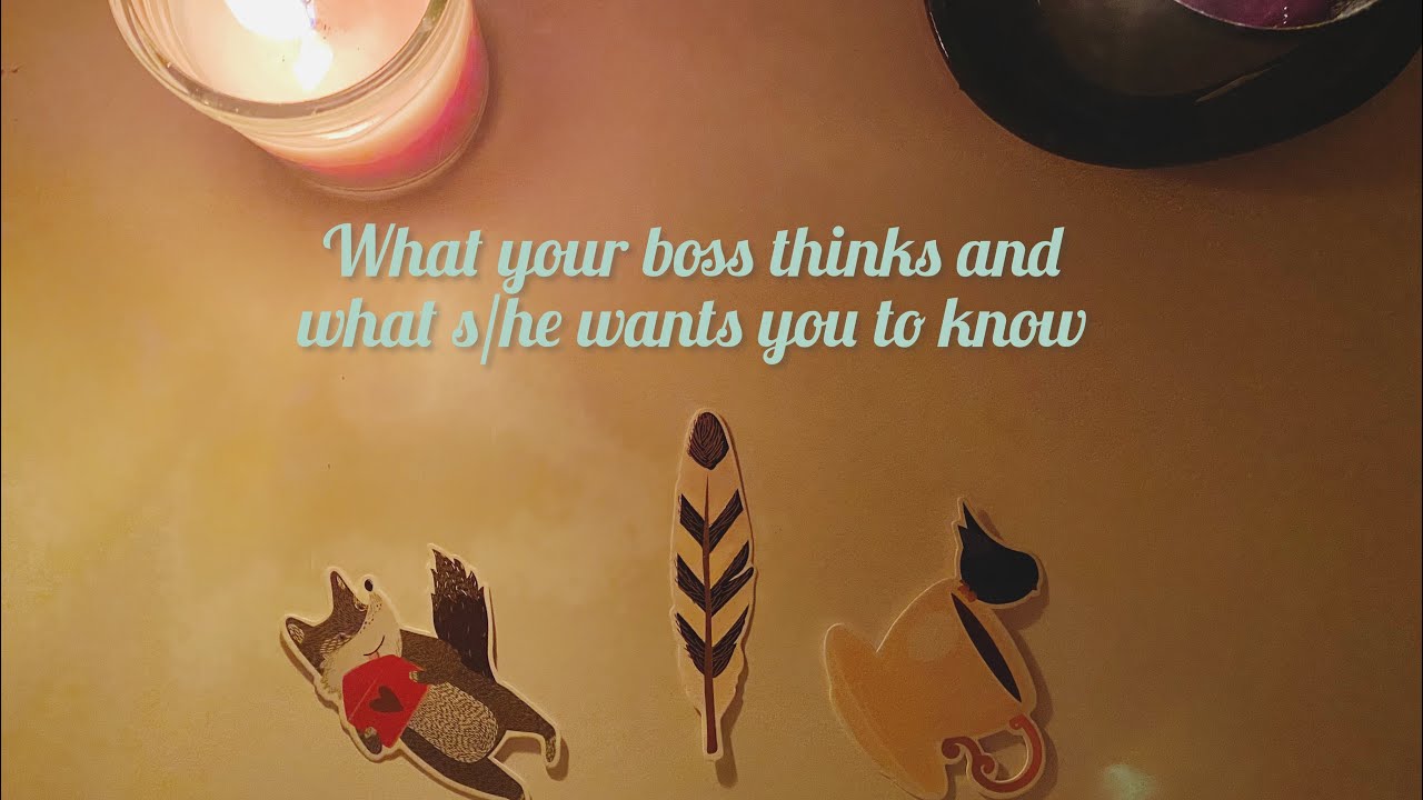  What Your Boss Thinks And What S he Wants You To Know Career