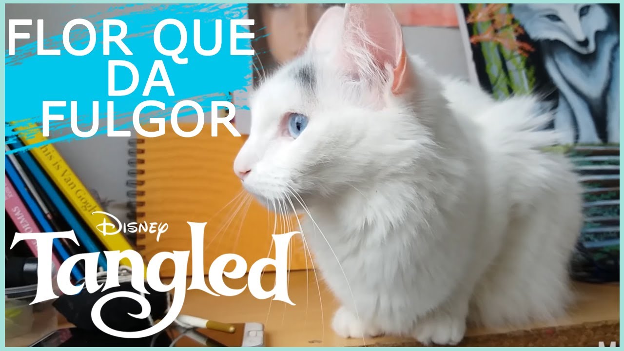 FLOR QUE DA FULGOR - ENREDADOS | Melo 💖 - YouTube
