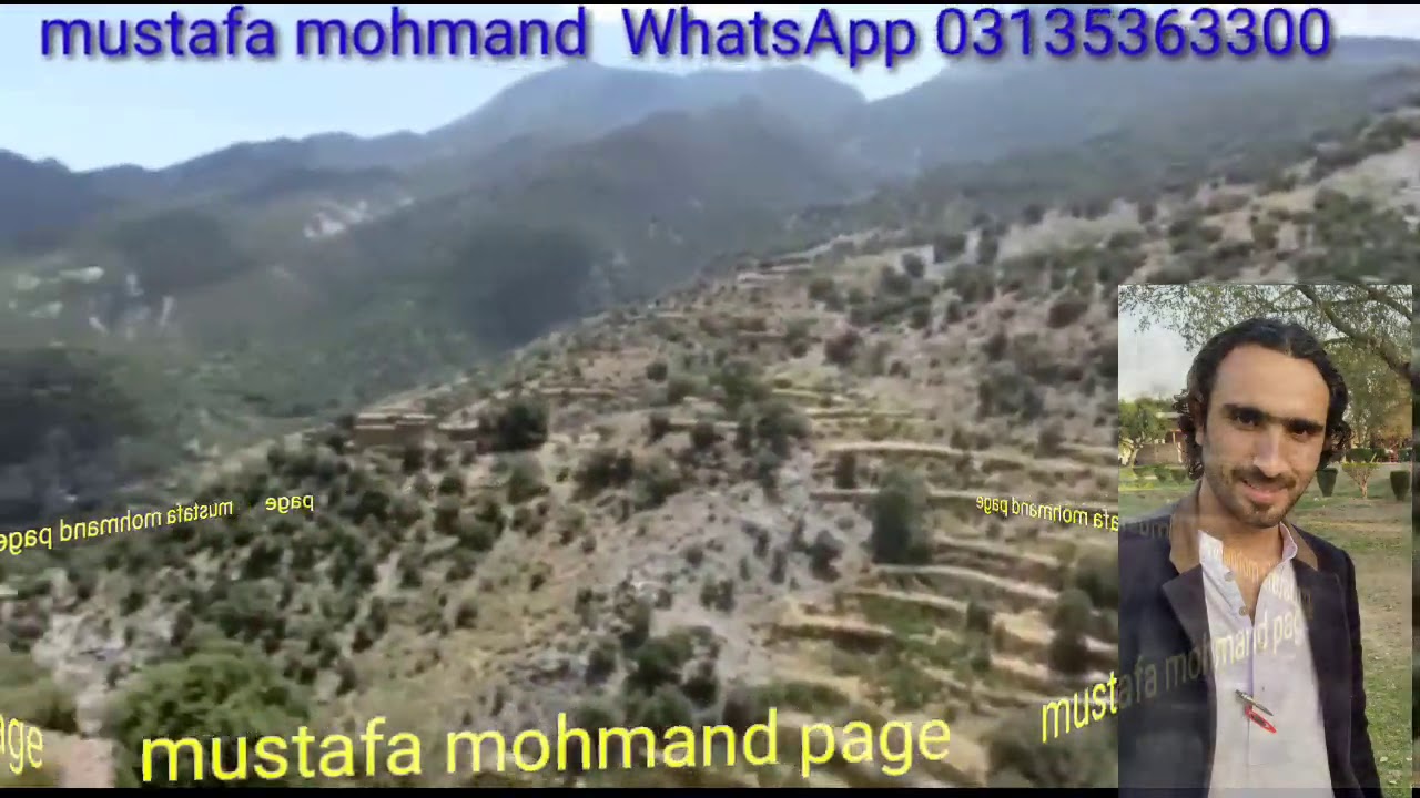 Pashto new song raz arab gull mustafa mohmand ewaz khan - YouTube