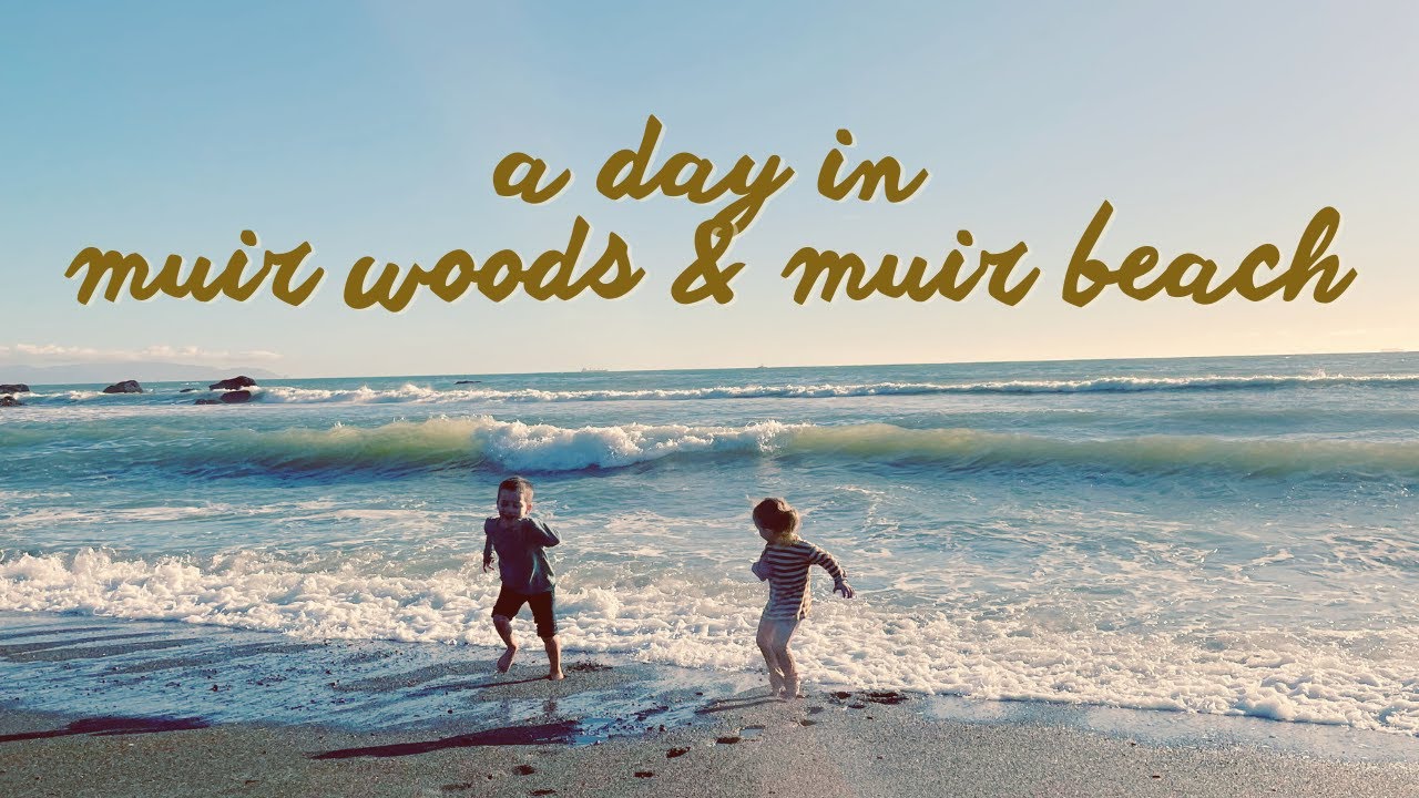 Muir Woods Quotes