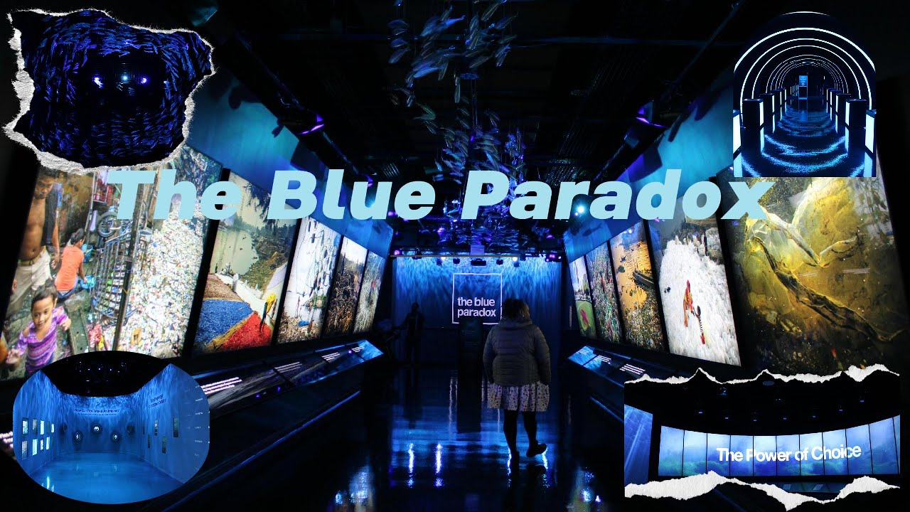 The Blue Paradox: Ocean Plastic Waste Crisis | Griffin Museum of ...