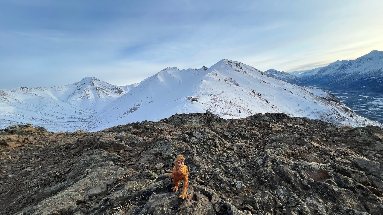Almost almost Mount Tucker - YouTube