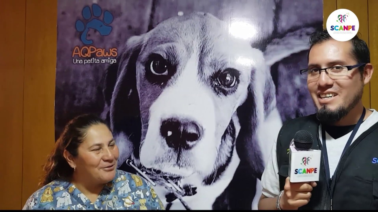 Entrevista Veterinaria AQPaws, una patita amiga - YouTube