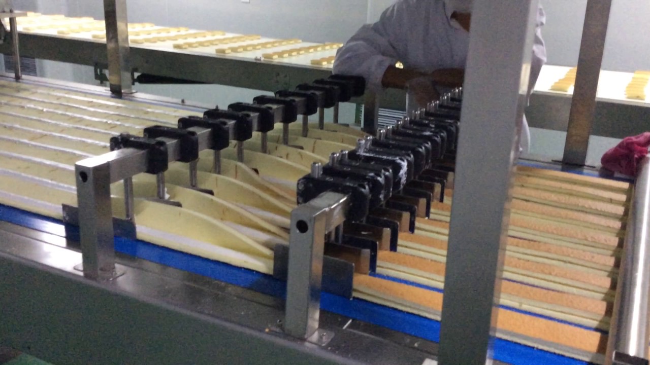 SHANGHAI KUIHONG automatic swiss roll production line video 2 - YouTube