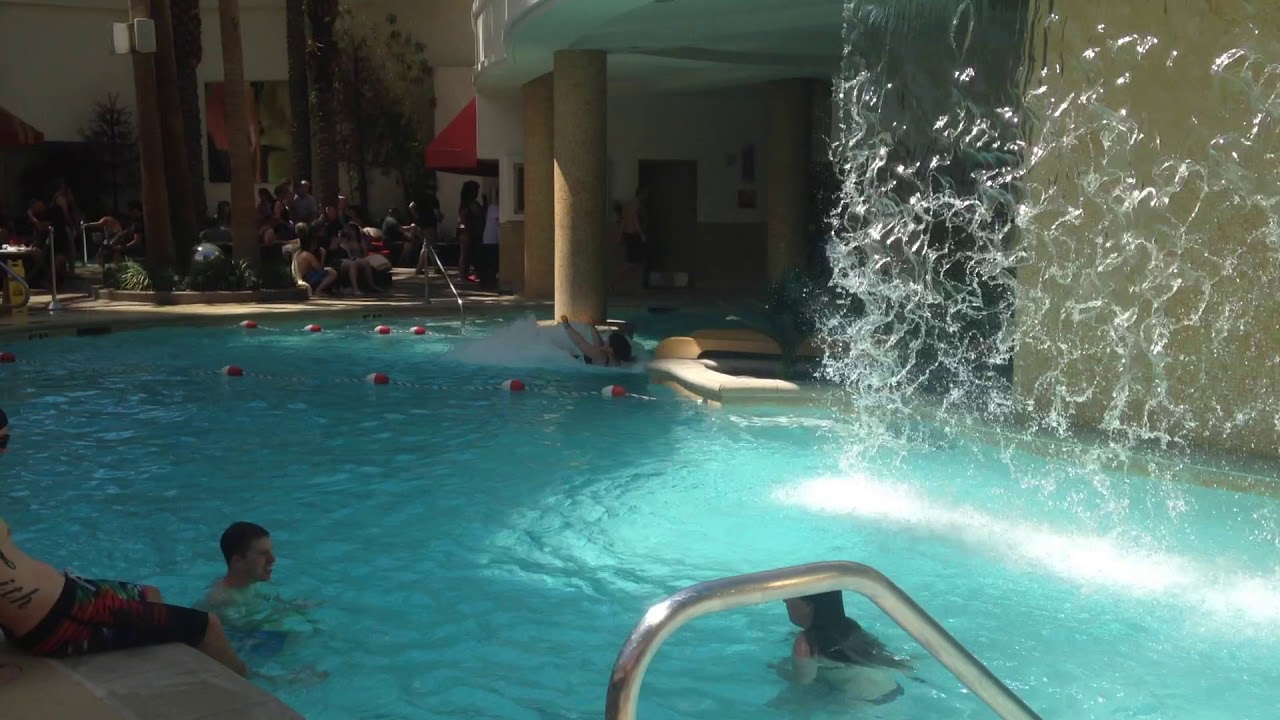 Golden Nugget Shark Pool Video 2018 - YouTube