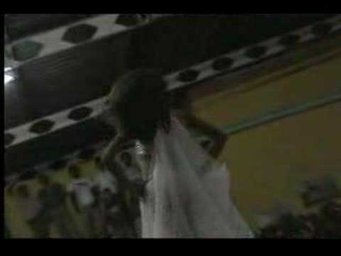 GUARICO Y SU GENTE Mini Top Model II