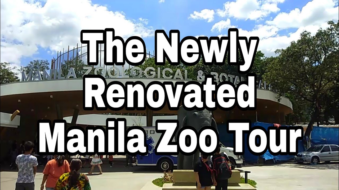 The New Manila Zoo | Manila Zoological and Botanical Garden Tour - YouTube