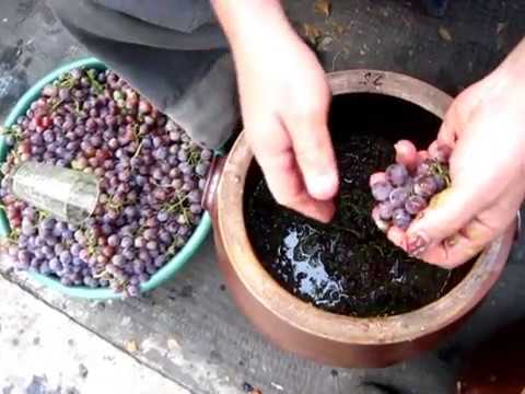 ЗАПРЕЩЁННОЕ ВИНО из КРАСНОГО ВИНОГРАДА (Лидия)