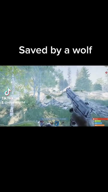 Like And Sub Newyoutuber Rustconsole Rustpc Rustgame Rustgameplay Rustshorts Rust