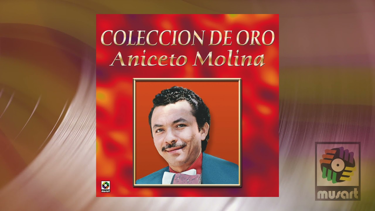 Aniceto Molina - El Tragon (Official Audio) - YouTube
