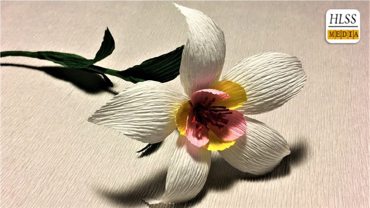 Super easy way to make paper flower| diy crepe paper flower making ...