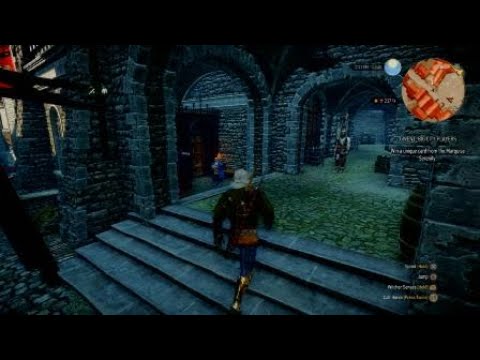 The Witcher 3: Beating Vimme Vivaldi in Gwent Card Game - YouTube