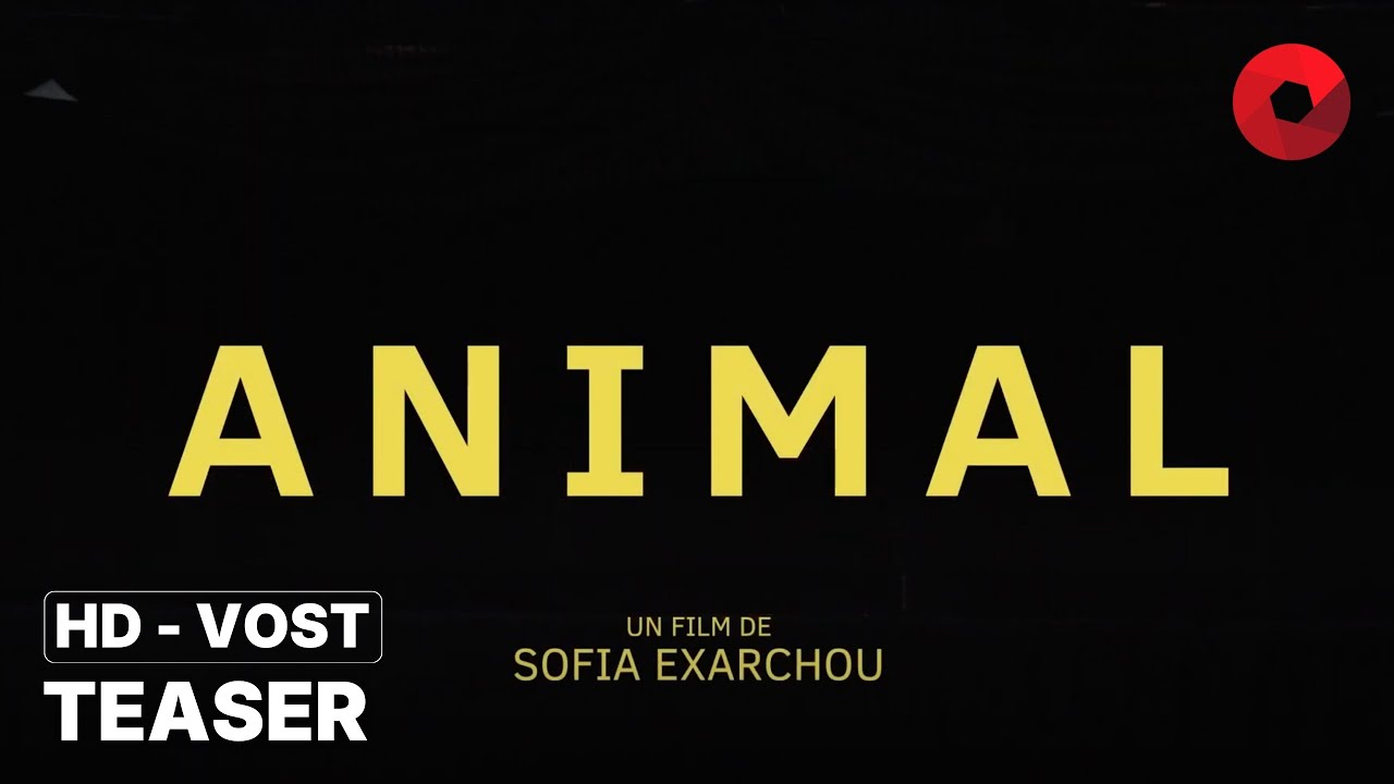 ANIMAL de Sofia Exarchou : teaser [HD-VOST] | 17 janvier 2024 en salle - YouTube